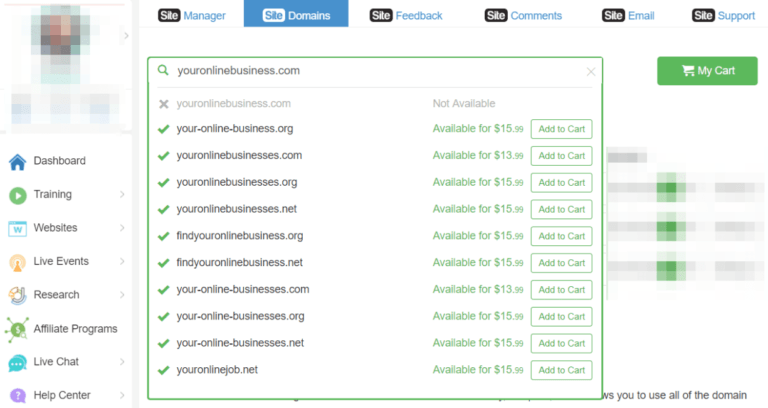 How to Choose the Best Domain Name Providers?